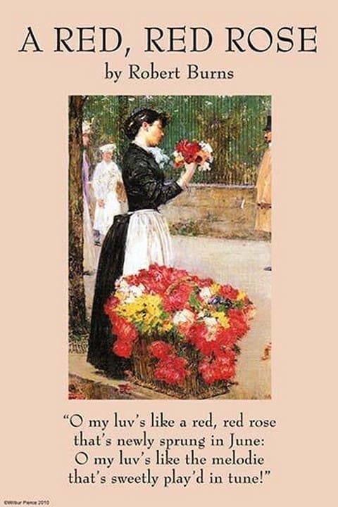 A Red Rose by Robert Burns - Art Posters or Prints on Paper or Canvas ...