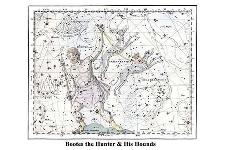 Bootes the Hunter & His Hounds by Alexander Jamieson - Art Posters or ...