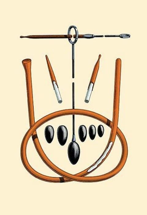 Dilators by Jules Porges - Art Posters or Prints on Paper or Canvas ...