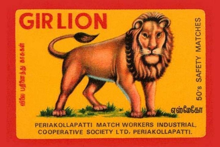 Gir Lion - Art Posters or Prints on Paper or Canvas - Vintage Image Shop