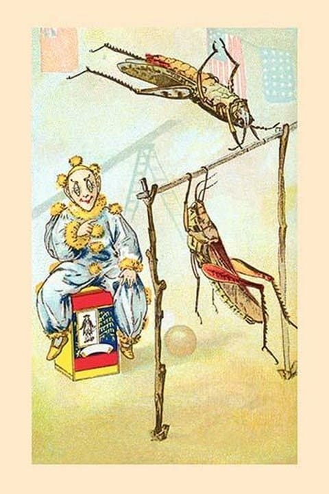 Gymnastics from The Frolie Grasshopper Circus by William Chesebrough ...