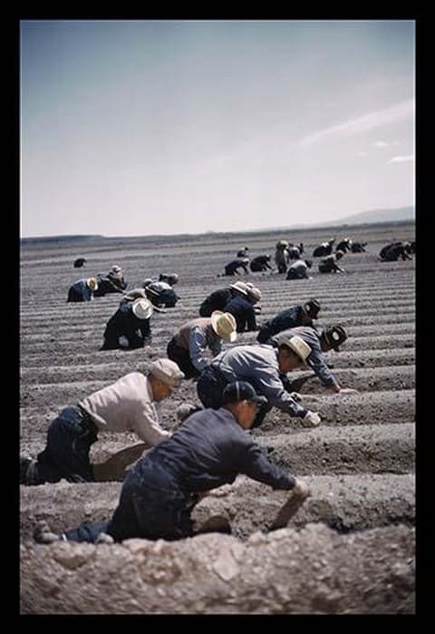 Japanese-American Camp, War Emergency Evacuation by Russell Lee - Art ...