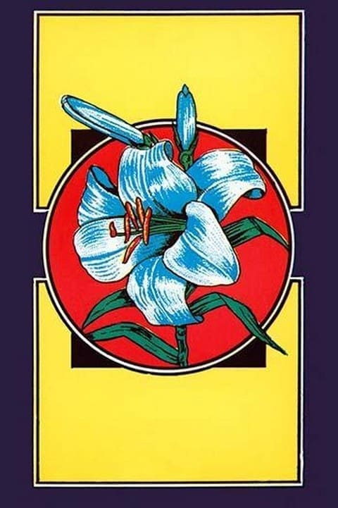 Lily Flower Broom Label - Art Posters or Prints on Paper or Canvas ...