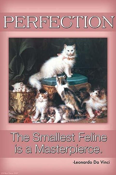Perfection; The Smallest Feline is a Masterpiece by Wilbur Pierce - Art ...