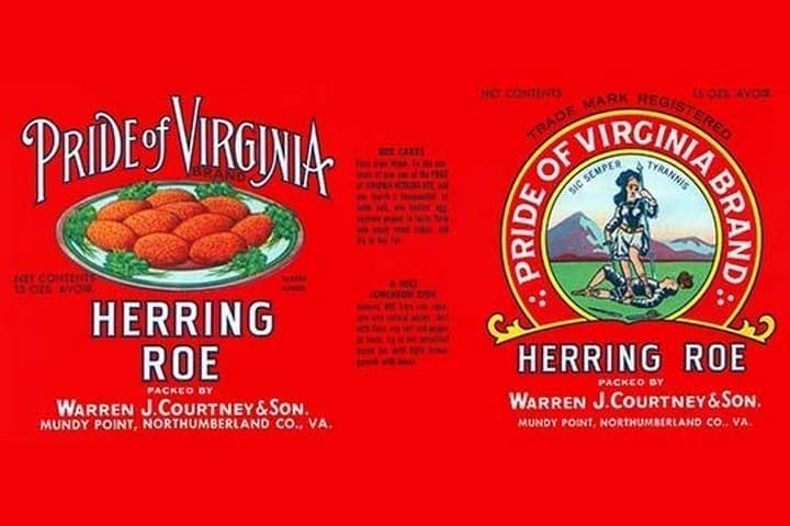 Pride of Virginia Herring Roe - Art Posters or Prints on Paper or ...