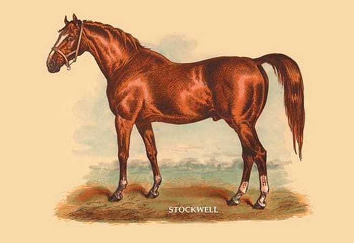 Stockwell by L. Penicaut - Art Posters or Prints on Paper or Canvas ...