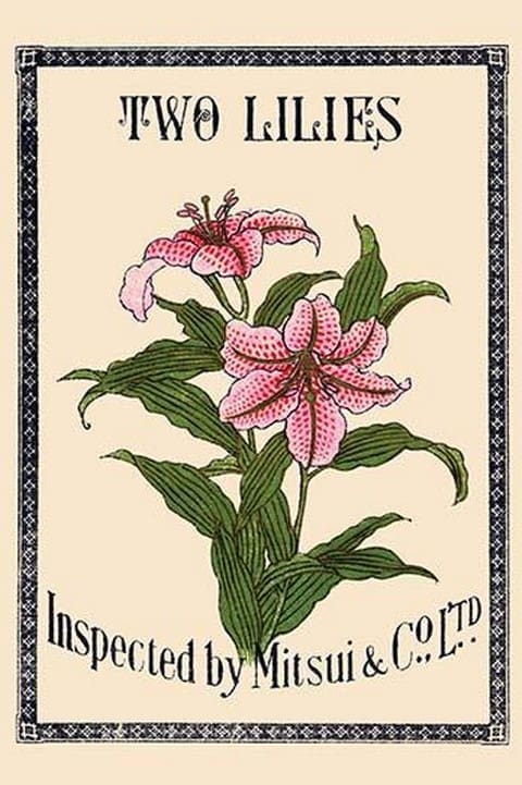 Two Lilies by Matsui - Art Posters or Prints on Paper or Canvas ...