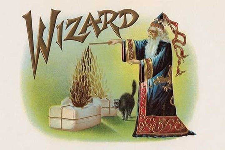 Wizard - Art Posters or Prints on Paper or Canvas - Vintage Image Shop